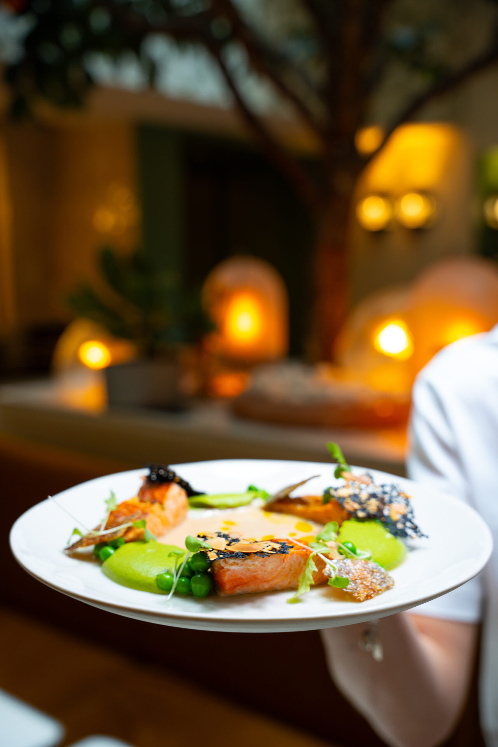 Les Menus | Restaurant Arboré