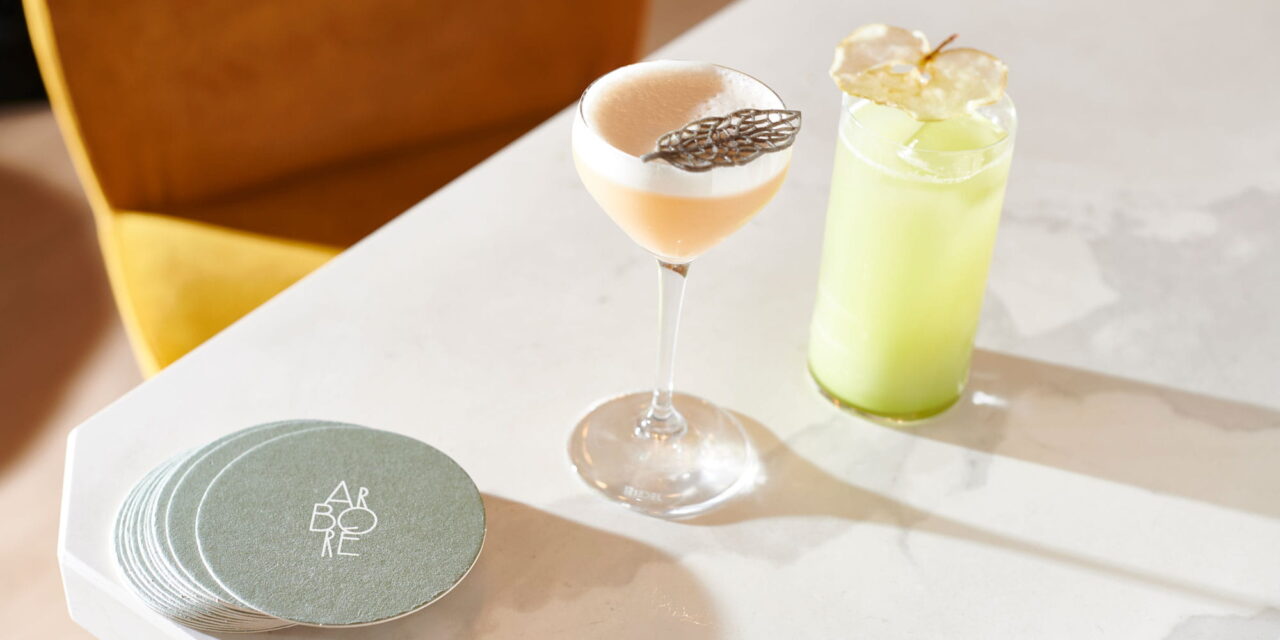 The Talaé Bar | Restaurant Arboré