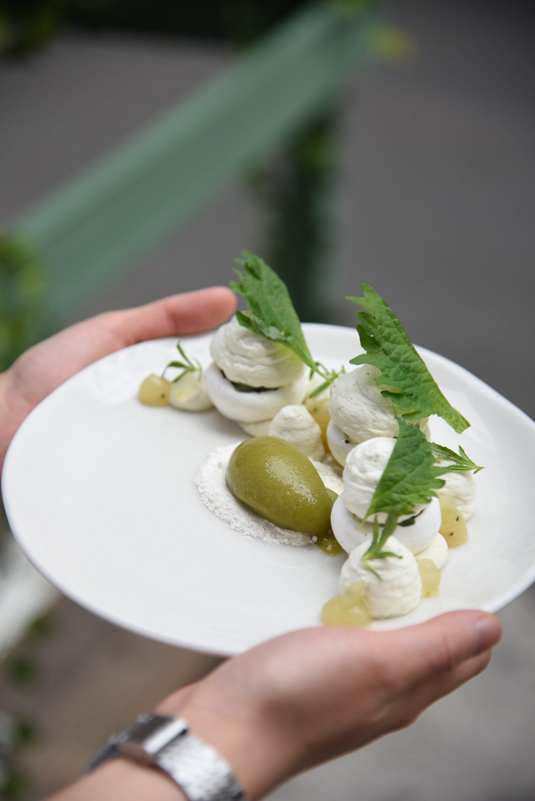 Les Menus | Restaurant Arboré