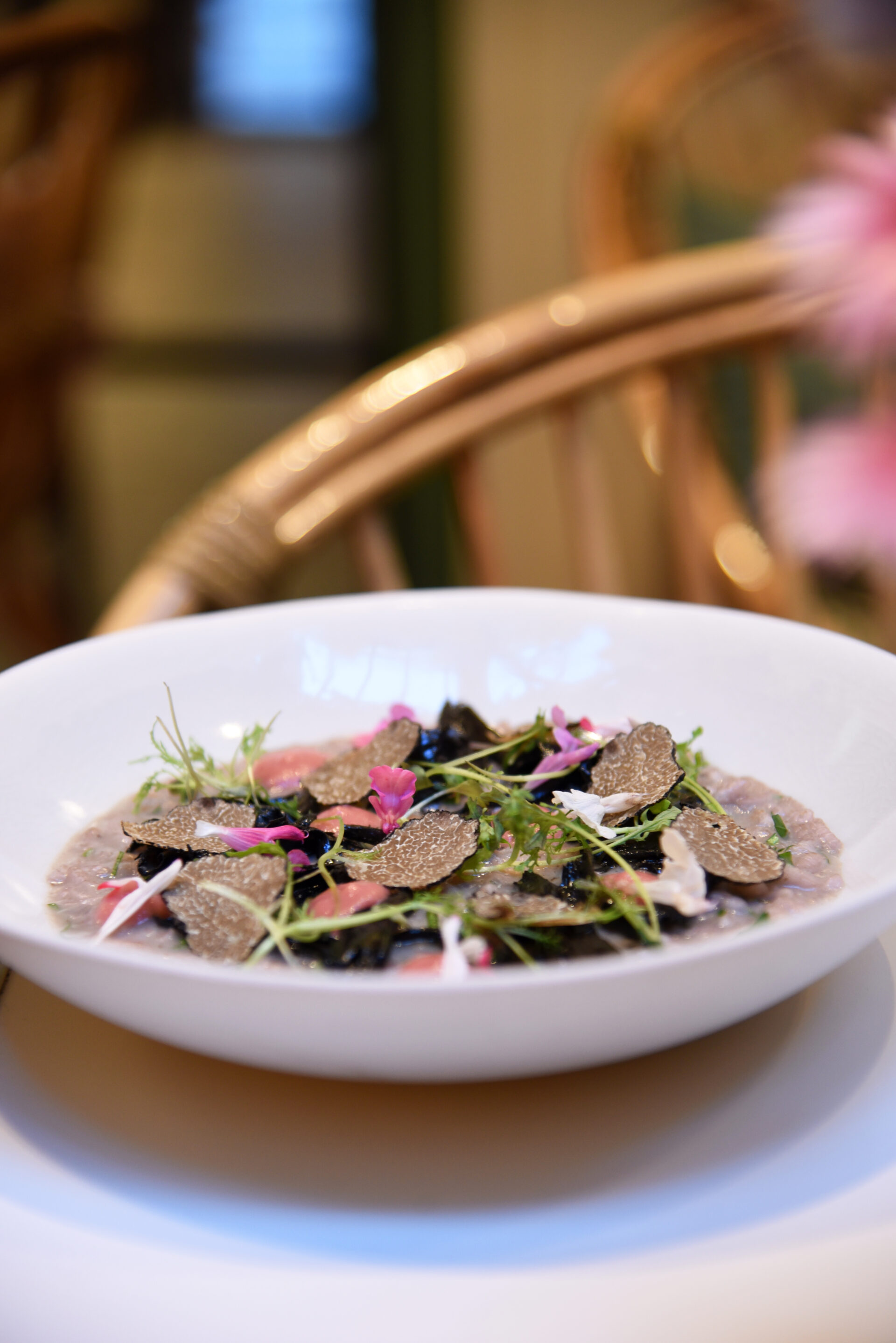 Les Menus | Restaurant Arboré